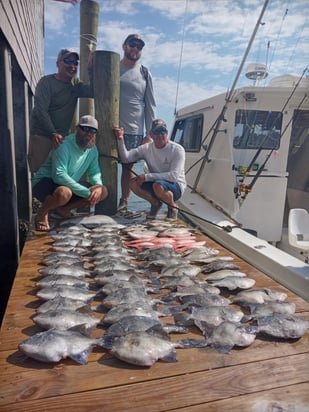 Bonito Vs Skipjack Tuna Vs Little Tunny: What’s The Difference?