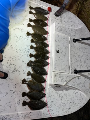 Everything You Need To Know About Texas Flounder