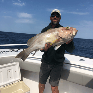 12 Types Of Fish In The Gulf Of Mexico