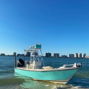 The 5 Best Beaches For Fishing In Clearwater, Florida