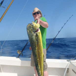 12 Types Of Fish In The Gulf Of Mexico