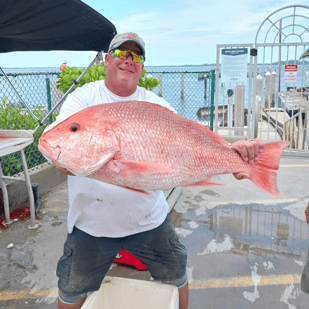 Amberjack Season 2024