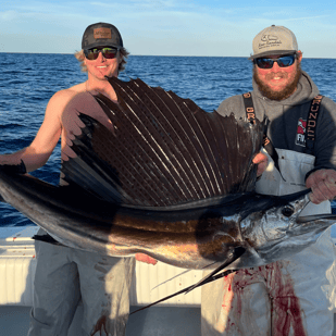 Key West Fish Species: Best Fish To Catch