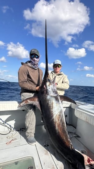 Key West Fish Species: Best Fish To Catch