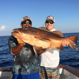 Everything You Need To Know About Florida Grouper Season
