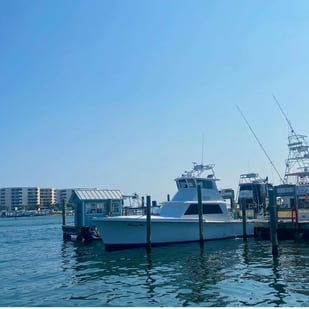 7 Types Of Trevally: Everything You Need To Know