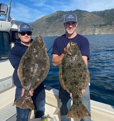 Morro Bay Fishing Reports (August 2024)