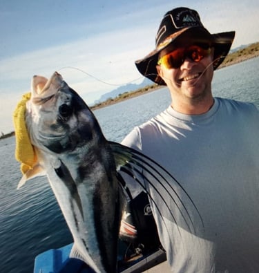 Loreto Fishing Reports (November 2024)