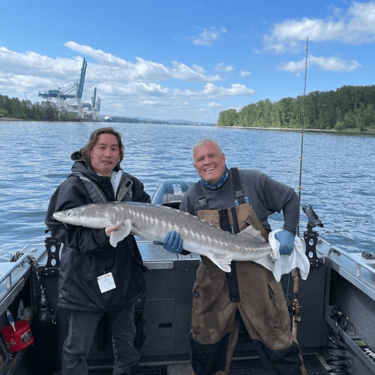 Sturgeon Catch And Release In Portland