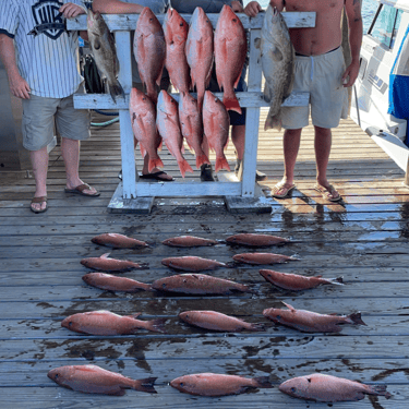 Reelin' In Red Snapper In Panama City