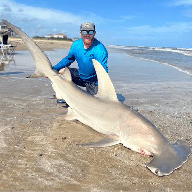 Beach Shark Fishing In Bolivar Peninsula