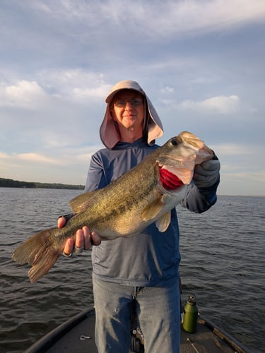 Lake Sam Rayburn Fishing Reports (July 2026)