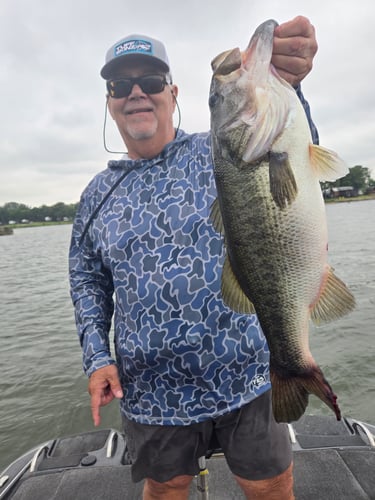 Bois D'Arc Lake Fishing Reports (June 2026)