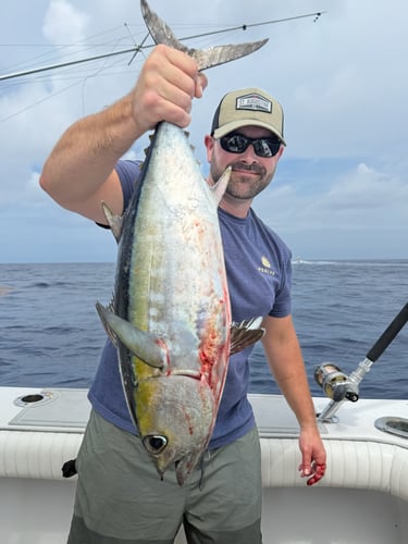 Victor Braunig Lake Fishing Reports (June 2026)