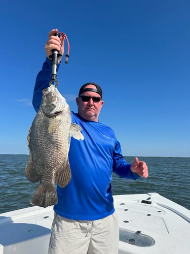 Live Oak Island Fishing Reports (May 2026)