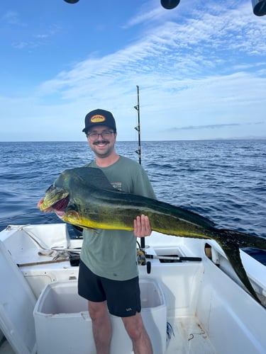 Sea Of Cortez Fishing Reports (June 2026)