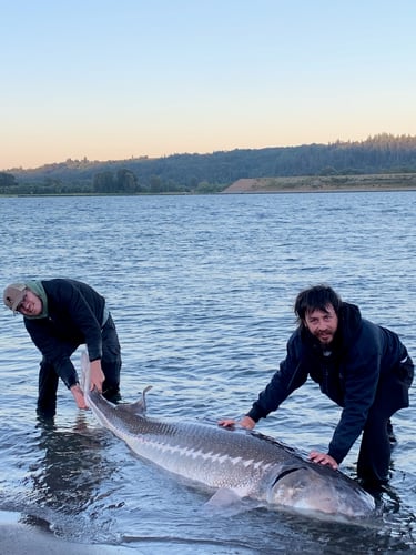 Nehalem Bay Fishing Reports (November 2025)