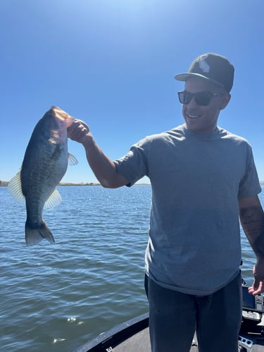 Newport Beach Fishing Reports (May 2026)