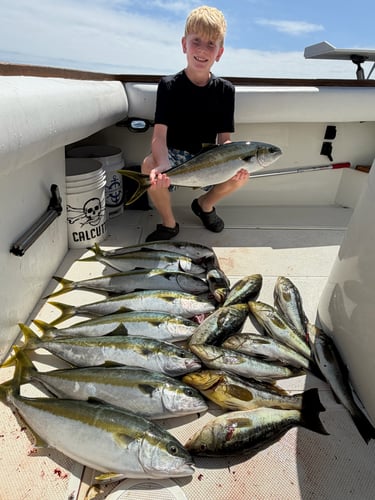 Santa Catalina Island Fishing Reports (July 2026)