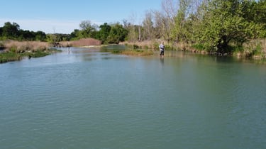 Junction Fishing Reports (January 2026)