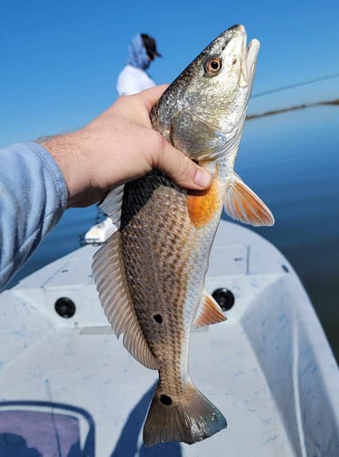 Catfish Lake Fishing Reports (May 2026)