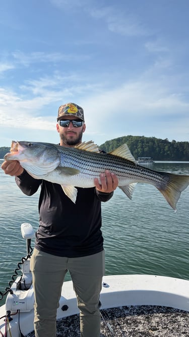 Lake Lanier Fishing Reports (June 2026)