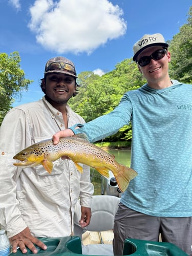 Chattahoochee River Fishing Reports (June 2026)
