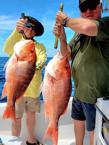 Great Abaco Fishing Reports (June 2026)