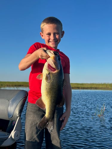Stub Canal Park Fishing Reports (May 2026)