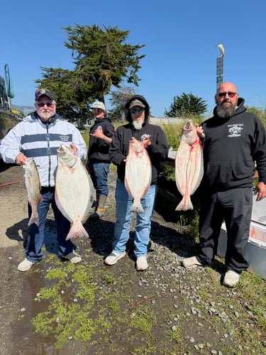 San Francisco Bay Area Fishing Reports (May 2026)