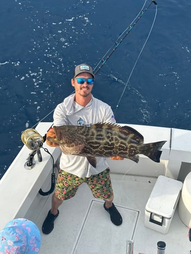 1/2 Day Fishing Trip In West Palm Beach