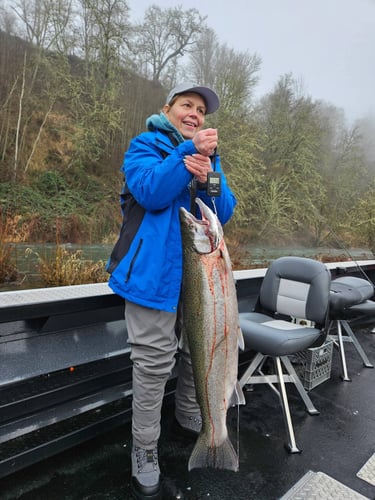Winter Cowlitz River Steelhead In Toledo