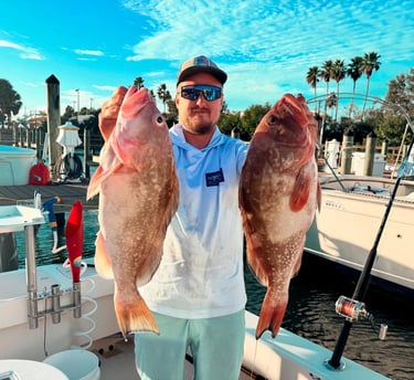 8 Hour Trip – Predator Pursuit In Clearwater