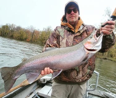 Spring Steelhead & Brown Trout In Wellston