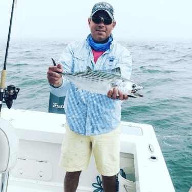 10-Hour Bonito / Albacore Special In Highlands