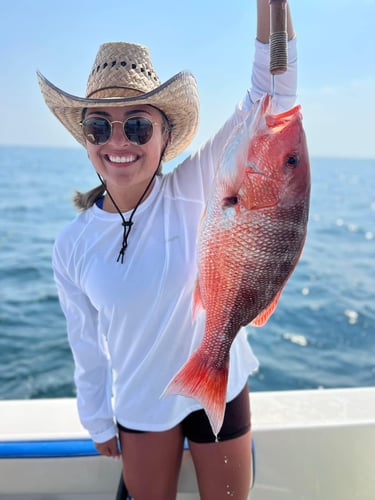 Red Snapper And Grouper Fishing!!! In Destin
