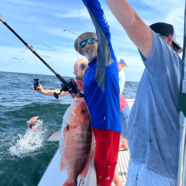 Snapper Slam In Dauphin Island