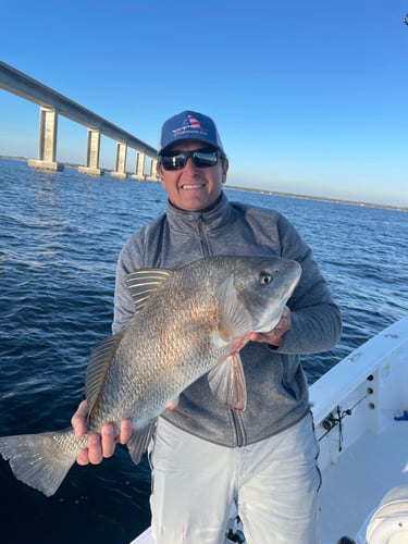 Destin Bay Redfish Slam In Destin