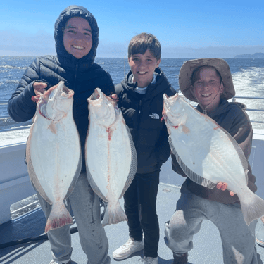 Halibut / Striped Bass Combo In Sausalito