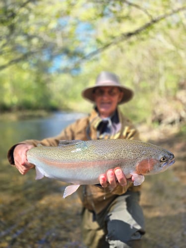 NC Trout Fly Fishing In Cherokee