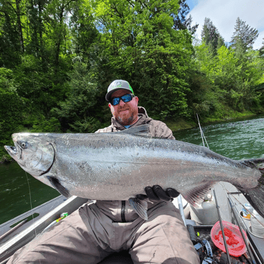 Kalama River Spring Chinook Salmon In Kalama