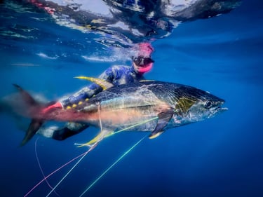 Offshore Camp Adventure 4 Days In Santa Catalina