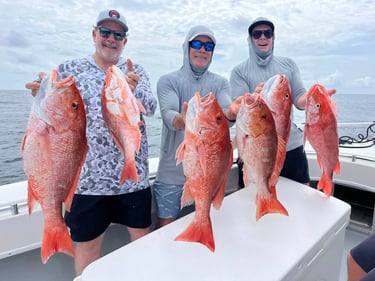 8 Hour Trip – Snapper Adventure In Galveston