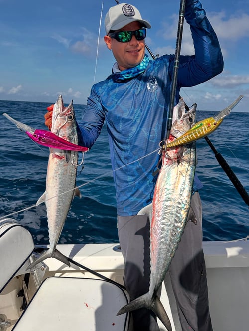 Fish Utila with Captain Experiences