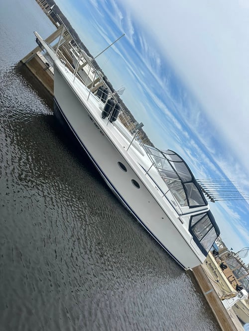 2 B Caught Charters with Captain Experiences