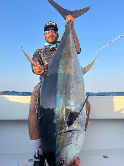 Arrecho Sportfishing with Captain Experiences