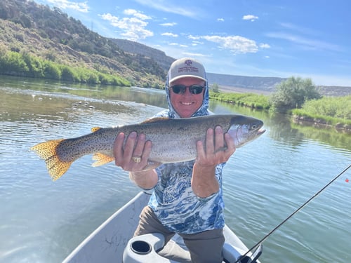 Durango Fly Fishing with Captain Experiences