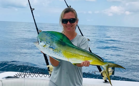 Everything You Need To Know About Mahi Mahi Season 2022