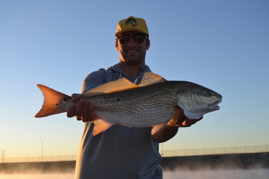 Freshwater Redfish, Hold The Salt: Calaveras Lake Fishing Trip Recap