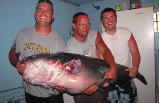 Biggest Freshwater Fish Ever Caught In America